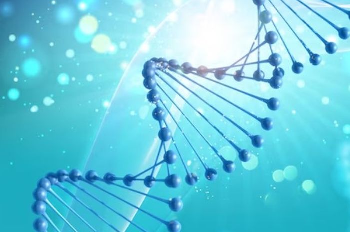 Hormon: Jenis dan Fungsinya, Lengkap dengan Penjelasannya! - Sonora.id