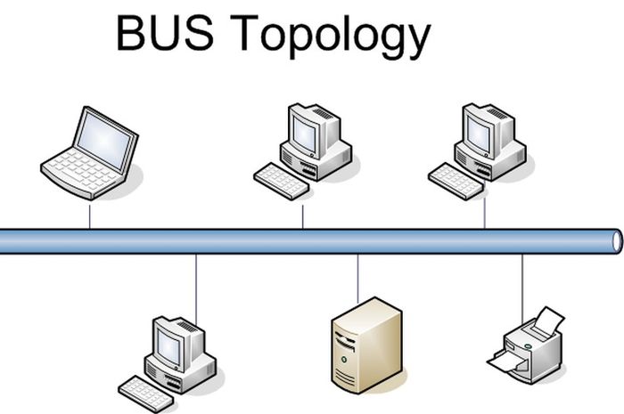 Topologi Bus Pengertian, Kelebihan dan Kekurangan - Sonora.id