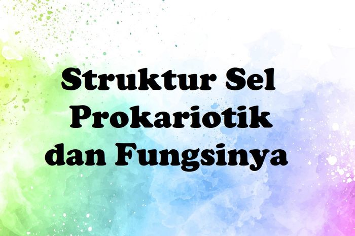 Struktur Sel Prokariotik dan Fungsinya - Sonora.id