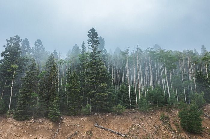 3 Akibat Utama Erosi Tanah terhadap Lingkungan, yang Perlu Diketahui ...