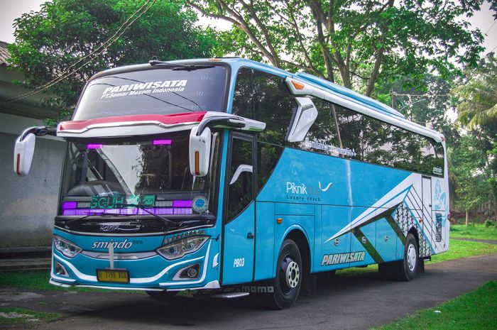 Punya Armada Lengkap, Piknik Bus Siap Bantu Kebutuhan Transportasi ...