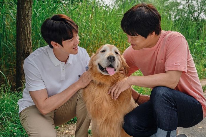 5 Drama dan Film Korea Bertema Pencinta Hewan Bikin Hati Meleleh ...