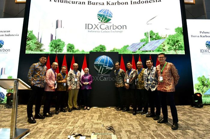 Mengenal Bursa Karbon: Cara Kerja, Keuntungan, dan Harga Pasarnya ...