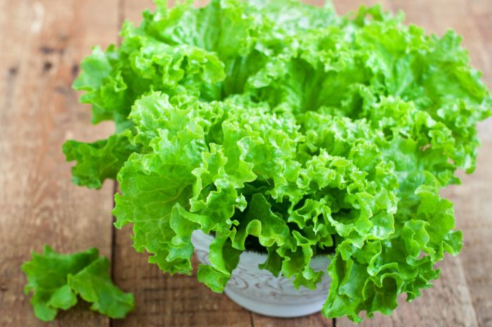 12 Manfaat Daun Selada Mentah untuk Kesehatan Tubuh - Sonora.id