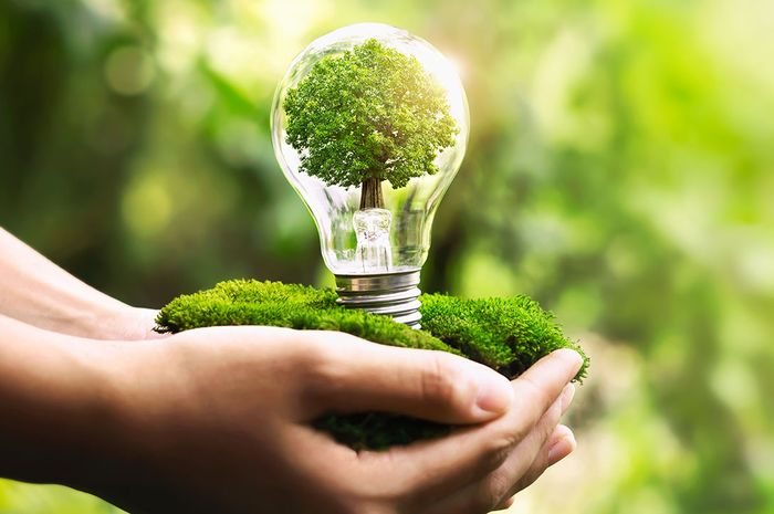 6 Manfaat Gaya Hidup Berkelanjutan bagi Lingkungan Jangka Panjang ...