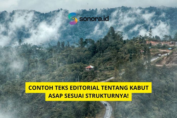 Contoh Teks Editorial tentang Kabut Asap Sesuai Strukturnya! - Sonora.id