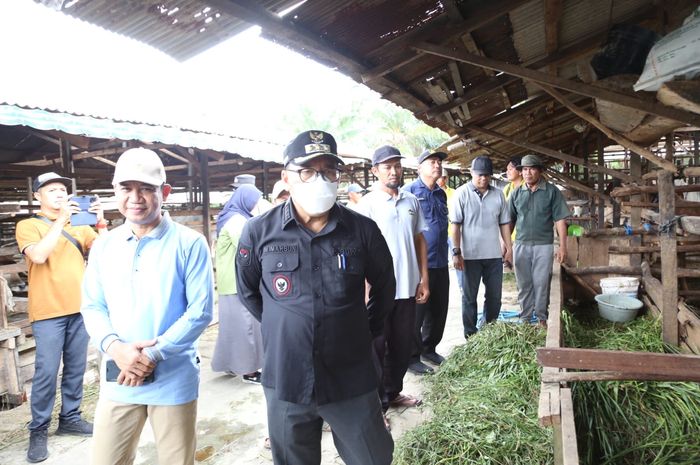 Tinjau Peternakan Sapi, Pj Bupati: Urinenya Dapat Dimanfaatkan Sebagai ...