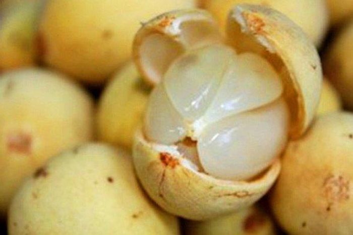 Ini 8 Manfaat Buah Duku untuk Kesehatan, Bisa Mencegah Malaria! - Sonora.id