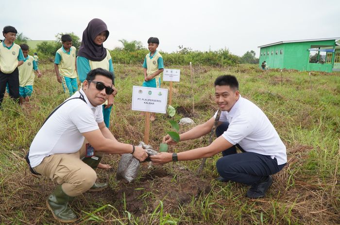 PLN Ambil Bagian Dalam Aksi Menanam Pohon Bersama Pemprov Kalbar ...