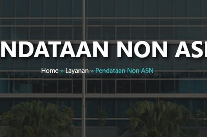 Cara Cek Pendataan Non-ASN untuk Daftar CPNS-PPPK 2024, Simak! - Sonora.id