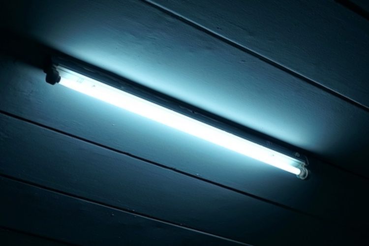 Ternyata Lampu Neon Bisa Sebabkan Penyakit Serius, Benarkah? - bangka ...