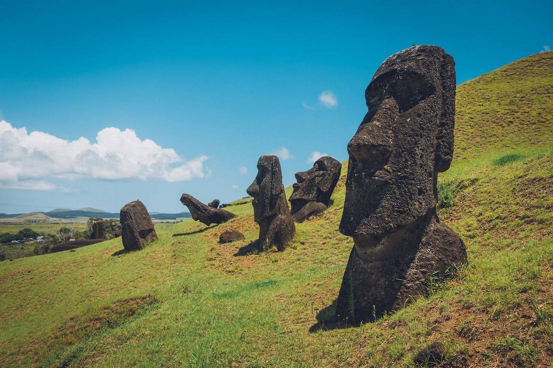 Ini Asal-usulnya Emoji Kepala Batu Terinspirasi dari Patung Moai di ...