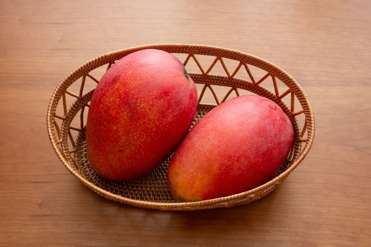 Segar Serta Tahan Sampai Enam Bulan, Berikut Cara Simpan Mangga ...