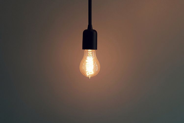 Mau Tahu Tips Mengusir Laron dari Rumah Selain Mematikan Lampu ...