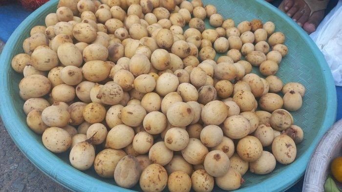 Khasiat Buah Langsat