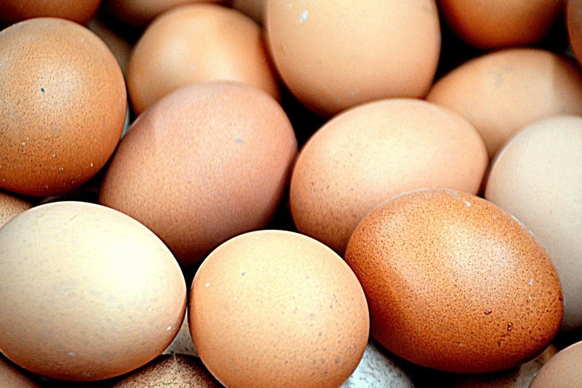 Berapa Banyak Untuk Protein Dalam Satu Butir Telur? - bangka.sonora.id
