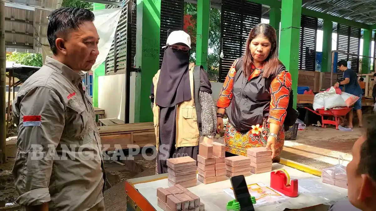 Terasi Toboali Mengandung Pewarna Tekstil & Boraks Temuan BPOM Disebut ...