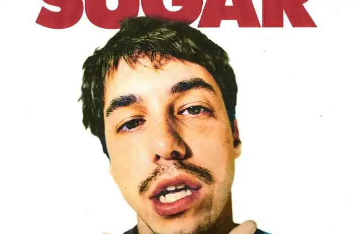 Hadirkan Remix, Ini Lirik Lagu 'Sugar' by Brockhampton feat Dua Lipa ...