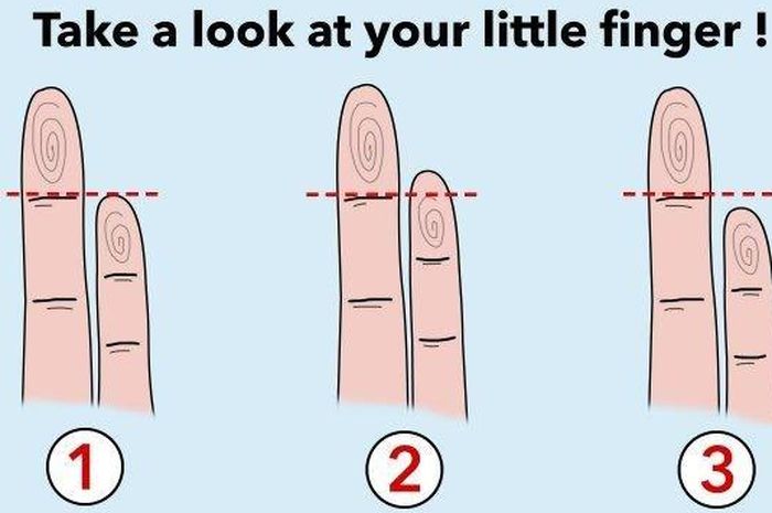 Tes Kepribadian: Ungkap Karakter & Kesehatan Lewat Jari Kelingking ...