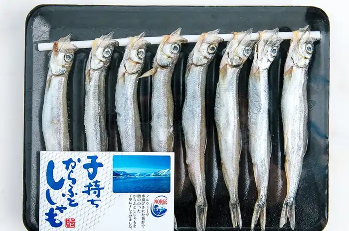 7 Manfaat Ikan Shisamo untuk Kesehatan, Ikan Laut Favorit Cipung ...