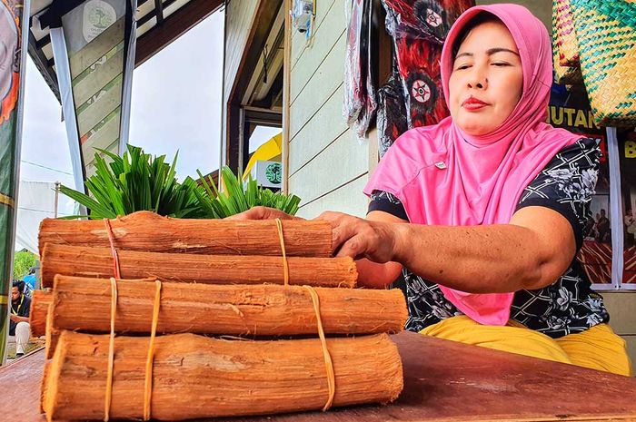 4 Manfaat Kayu Bajakah untuk Kesehatan, Salah Satunya Obat Kanker ...