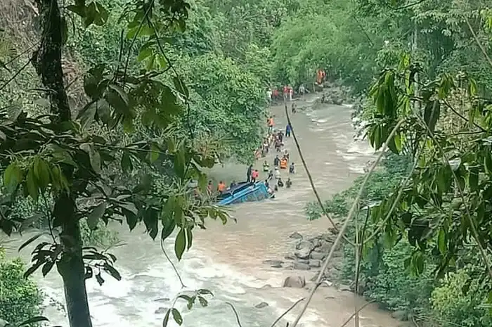 Bus Sriwijaya Terjun Bebas Ke Jurang, Supir Tewas di Tempat Kejadian ...