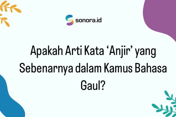 Apakah Arti Kata ‘Anjir’ yang Sebenarnya dalam Kamus Bahasa Gaul ...