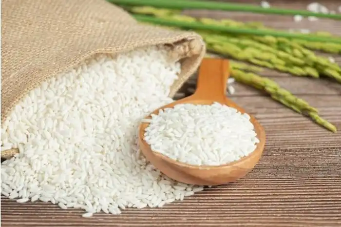 20 Contoh Barang Komplementer dan Substitusi, Lengkap dengan ...