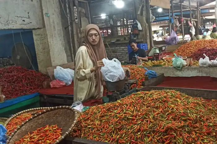 Harga Cabai Makin Pedas Jelang Ramadan! Bapok di Banjarmasin Naik - Sonora.id
