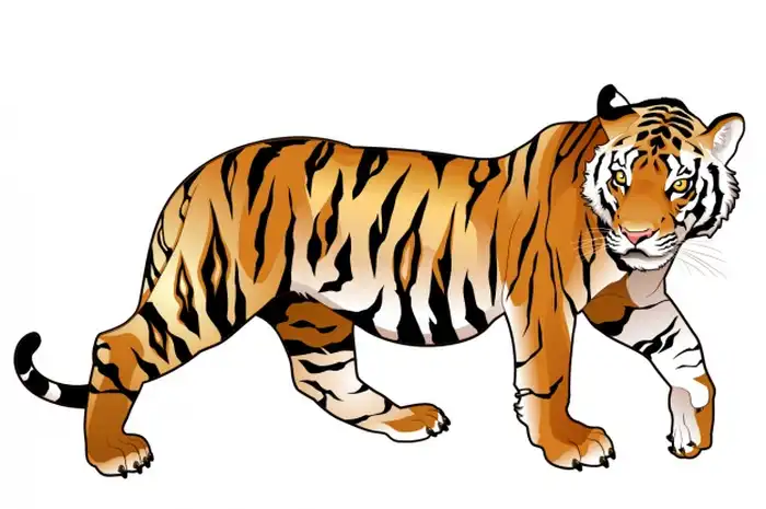 2022 Jadi Tahun Macan Air, Berikut Ini Sifat dan Karakter Shio Macan ...