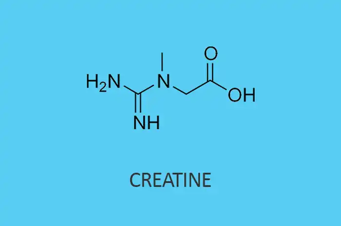 7 Manfaat Creatine untuk Tubuh, Suplemen yang Bukan Cuma Buat Atlet ...