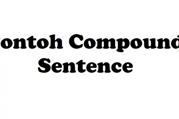 40 Contoh Compound Sentence dalam Bahasa Inggris - Sonora.id
