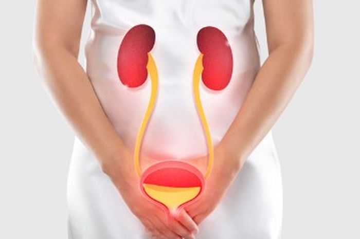 Penyebab Infeksi Saluran Kemih pada Wanita yang Perlu Diwaspadai - Sonora.id