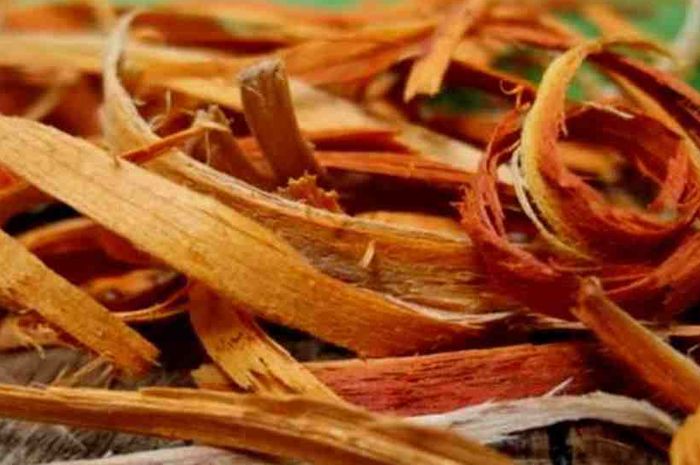 Manfaat Kayu Secang untuk Tubuh, Bisa Bikin Bapak-bapak Melongo kalau ...