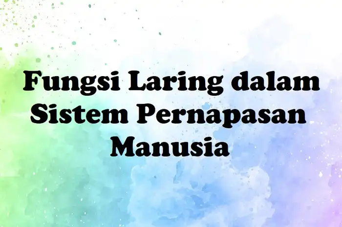 5 Fungsi Laring dalam Sistem Pernapasan Manusia, Materi Biologi - Sonora.id