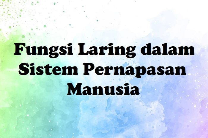 Fungsi Laring Dalam Sistem Pernapasan - Homecare24