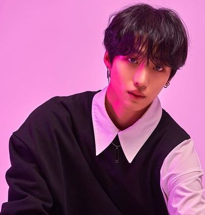 Loudi Idol Asal Indonesia Batal Debut Bareng Grup K-Pop Pendatang Baru ...