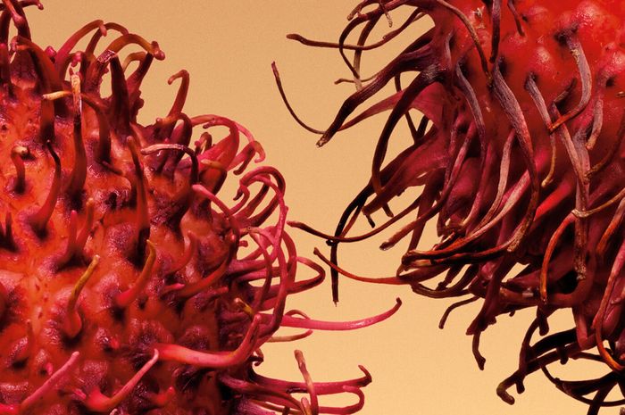 5 Manfaat Kulit Rambutan untuk Wajah: Skincare Alami Bikin Glowing ...