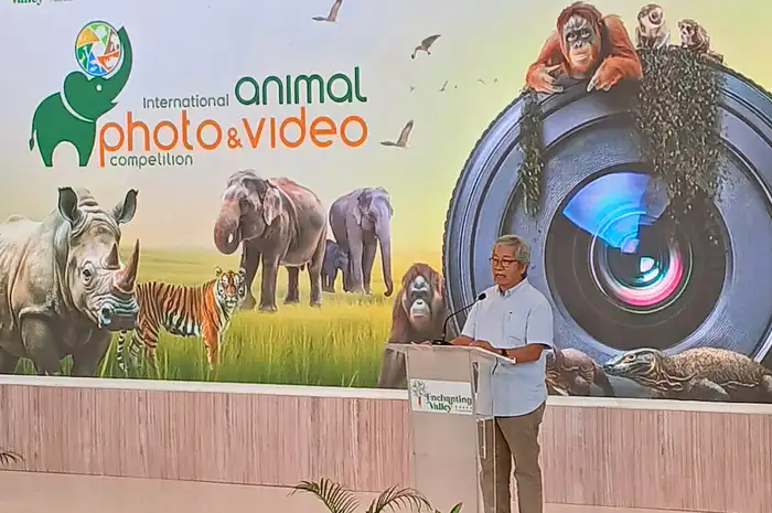 34 Tahun Konsisten Suarakan Konservasi Lewat Karya Visual, Taman Safari ...