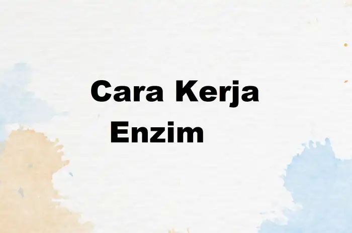 2 Cara Kerja Enzim dalam Teori Locky and Key dan Induced Fit - Sonora.id