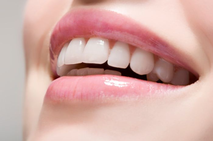 Mengenal 4 Jenis Gigi dan Fungsinya Masing-Masing Bagi Manusia - Sonora.id