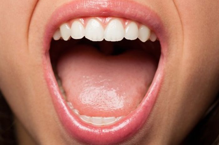 Mengenal Fungsi Rongga Mulut dan Cara Menjaga Kesehatannya, Lengkap ...