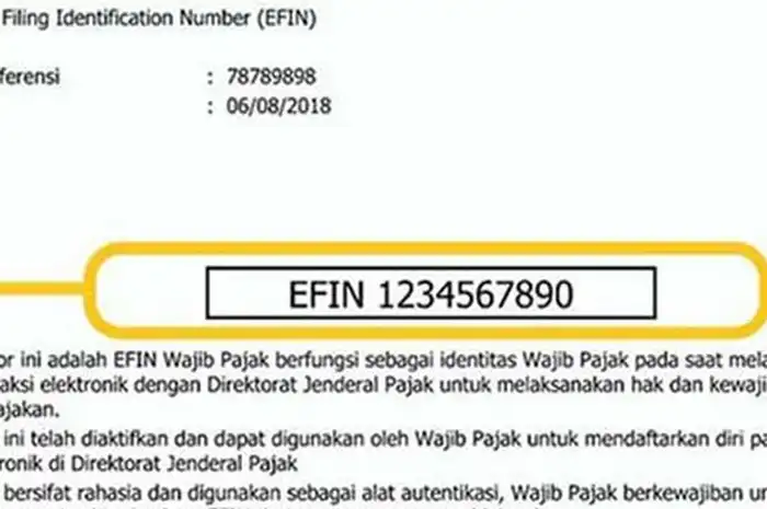 Lupa EFIN Pajak dan Cara Mendapatkannya untuk Lapor SPT - Sonora.id