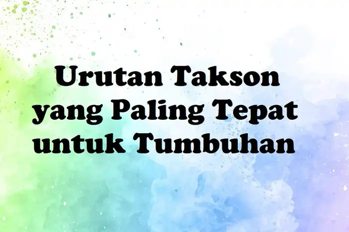 Urutan Takson yang Paling Tepat untuk Tumbuhan - Sonora.id